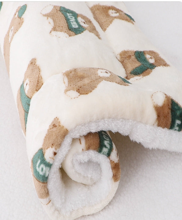 Zzz Pet Blanket – Cozonut